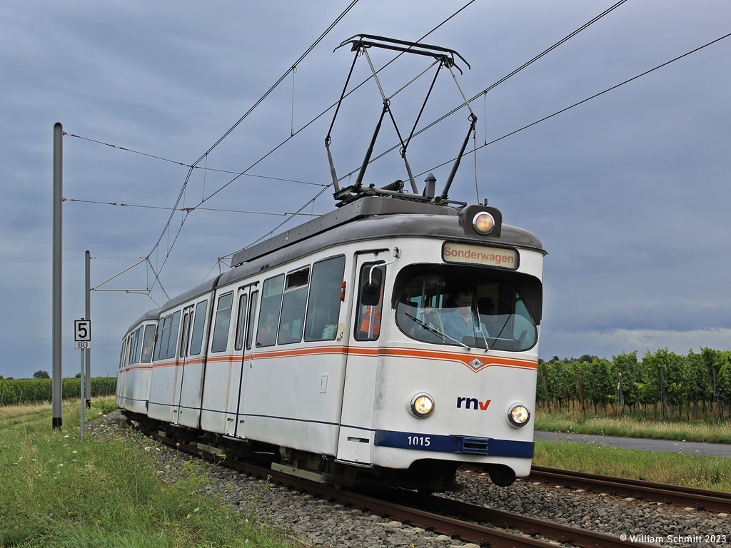 Gelenktriebwagen RHB